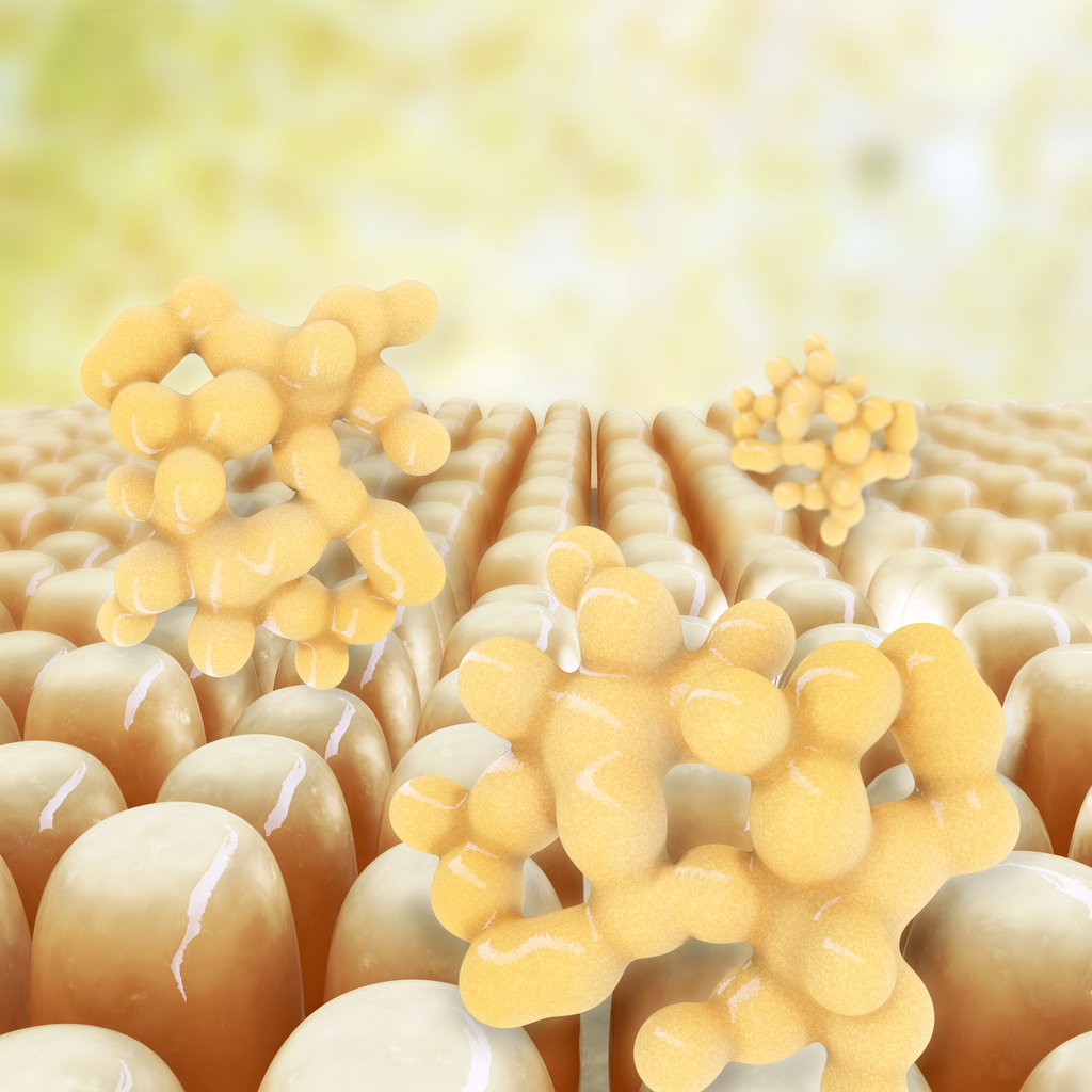 Don’t Lose Your Marbles, Alzheimer’s IS Reversible