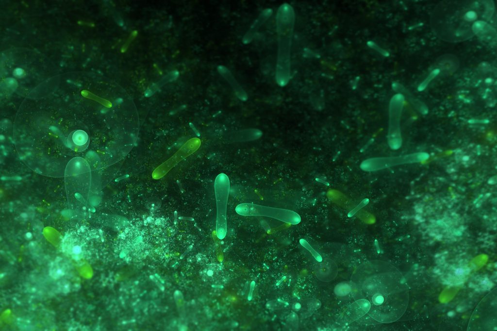 5 Ways To Achieve A Buff Brain